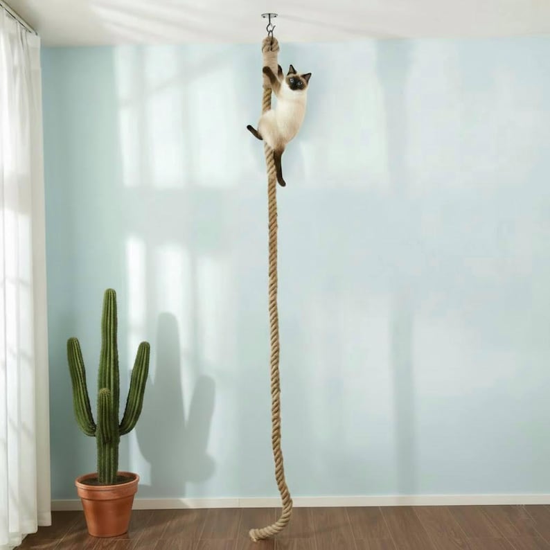 Cat Climbing Rope Cat Sisal Rope Climbing for Indoor Cats Ceiling ...