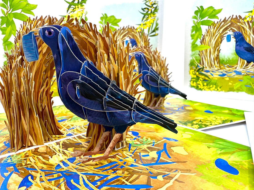 Satin Bowerbird 3D Pop up Greeting Card Handmade Australiana Spring ...