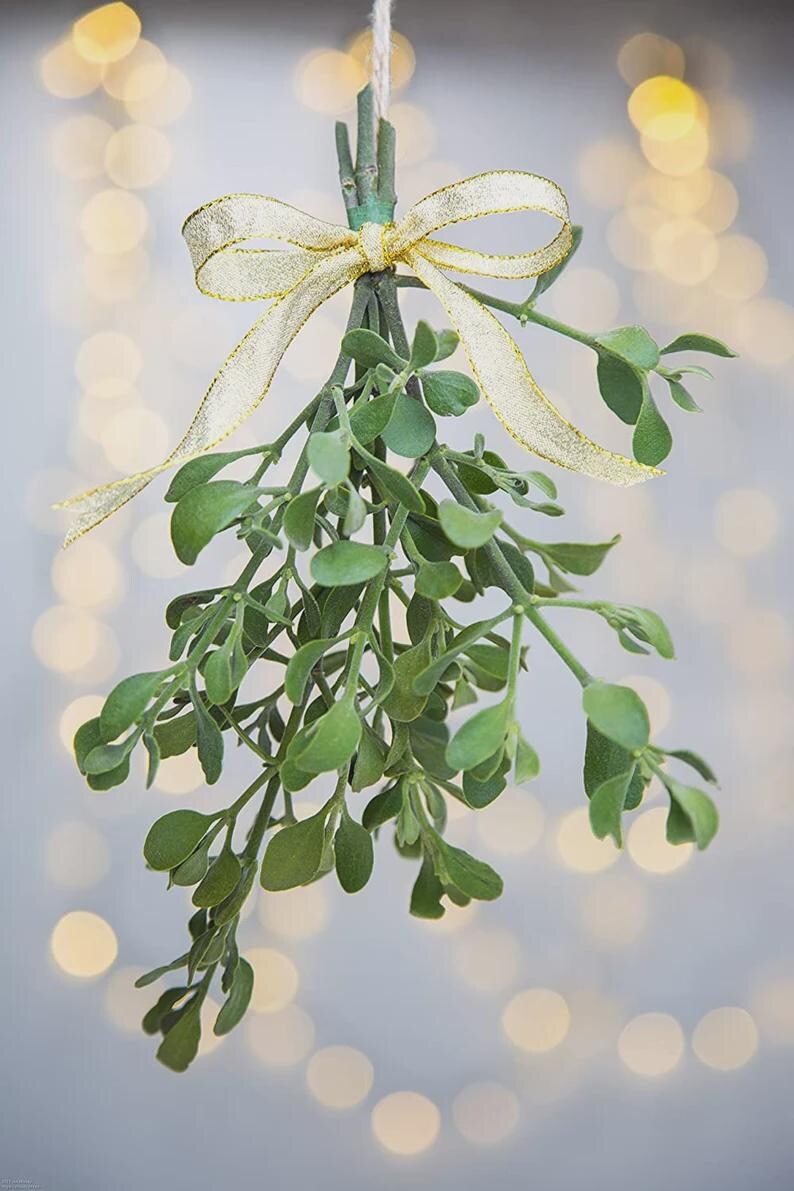 Fresh Picked Mistletoe With Bow, Wall Hanger, Holiday Decor - Etsy
