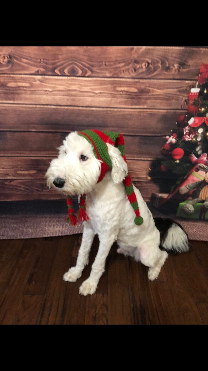 Elf Stocking Hat - Etsy