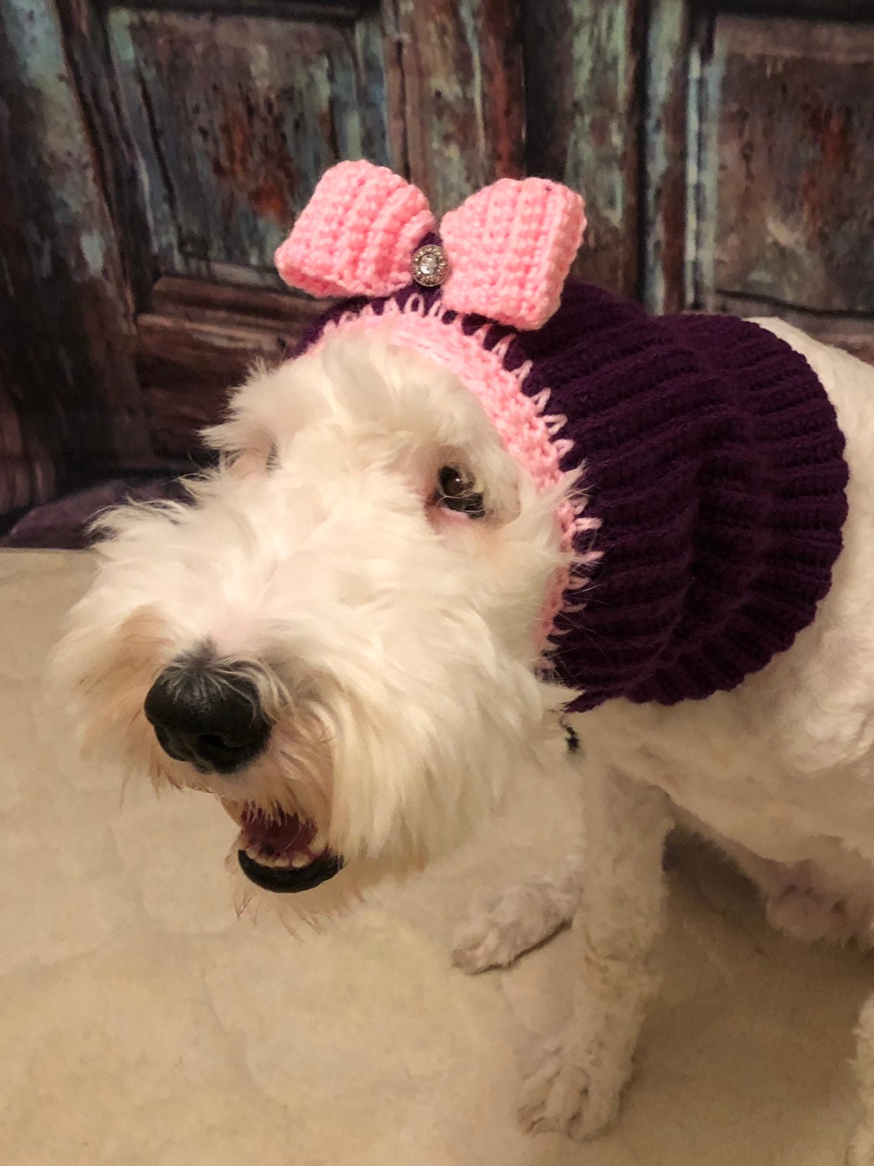 Dog Snood - Etsy