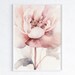 Digital Download Wall Art Set of 4: Boho Trendy Watercolor Peonies ...