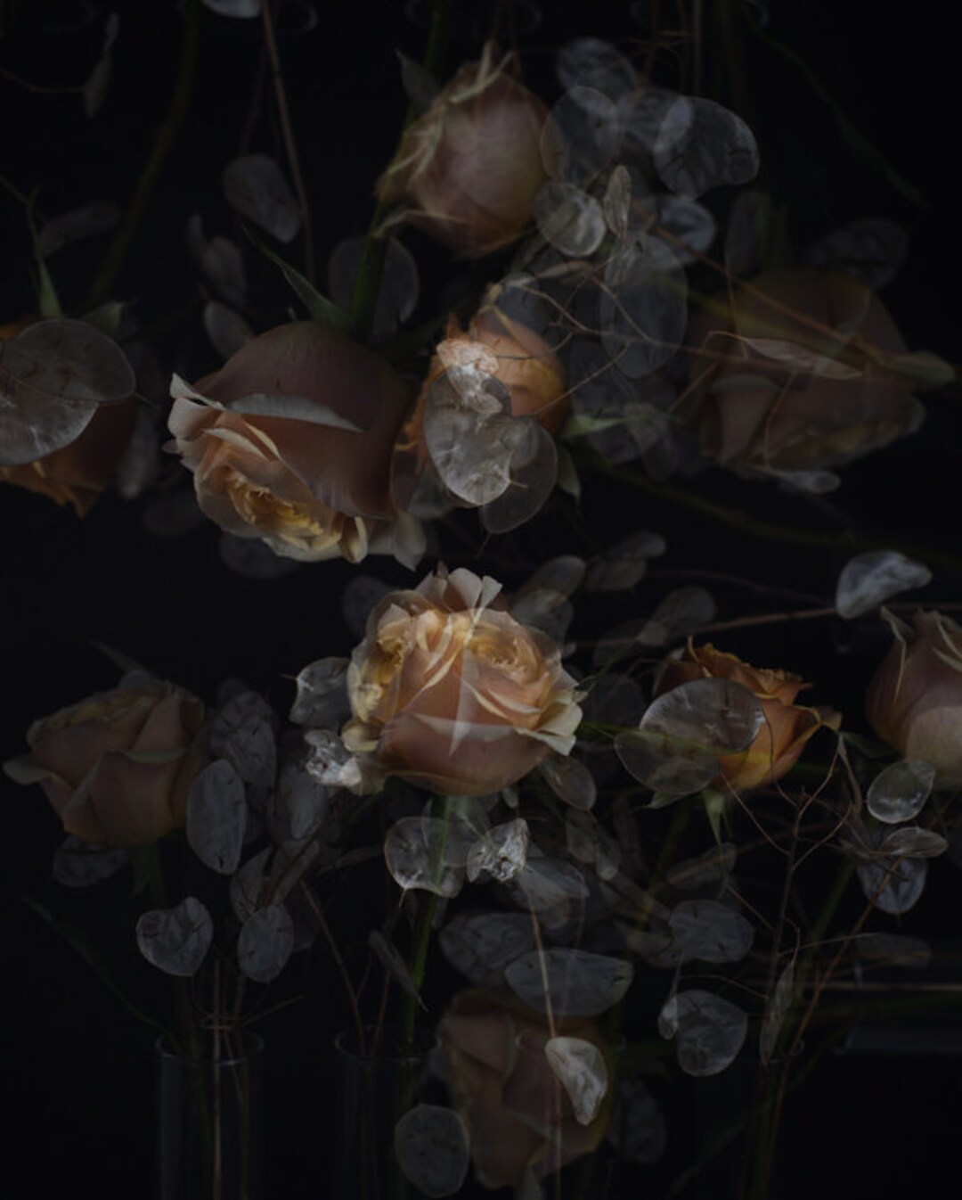 Abstract Rose Print, Dark Floral Art, Flower Photography, Romantic Wall ...