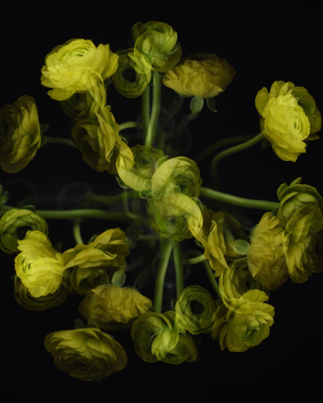 Green Abstract Art, Floral Wall Art, Floral Abstract Print, Green ...