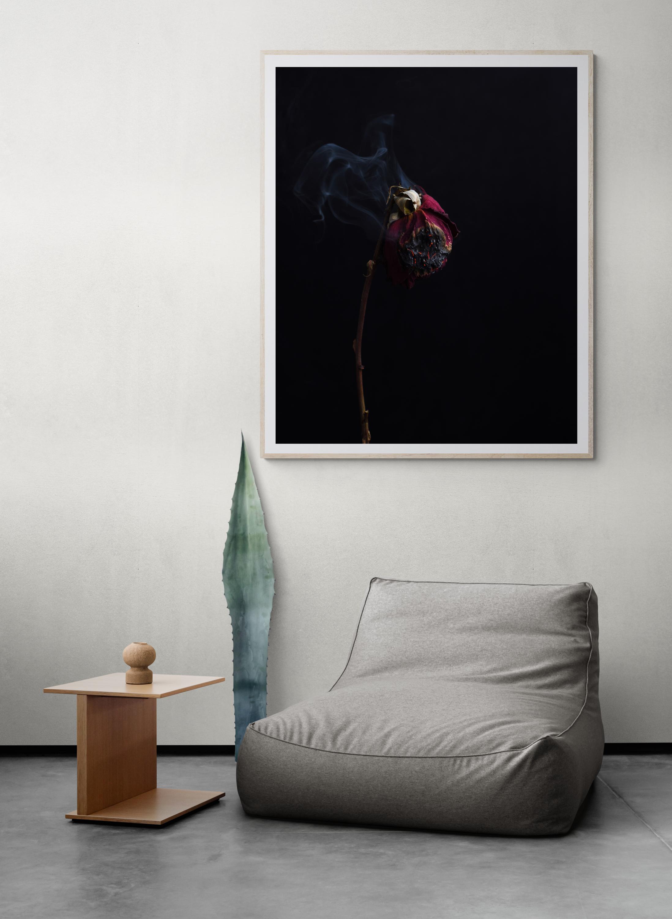 Dark Rose Photograph, Dark Floral Art, Above Bed Decor, Floral Art for ...