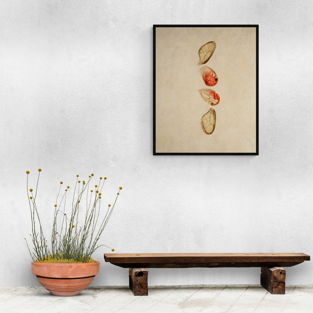 Wing Art Print, Insect Wall Art, Gold Decor, Insect Nursery Decor ...