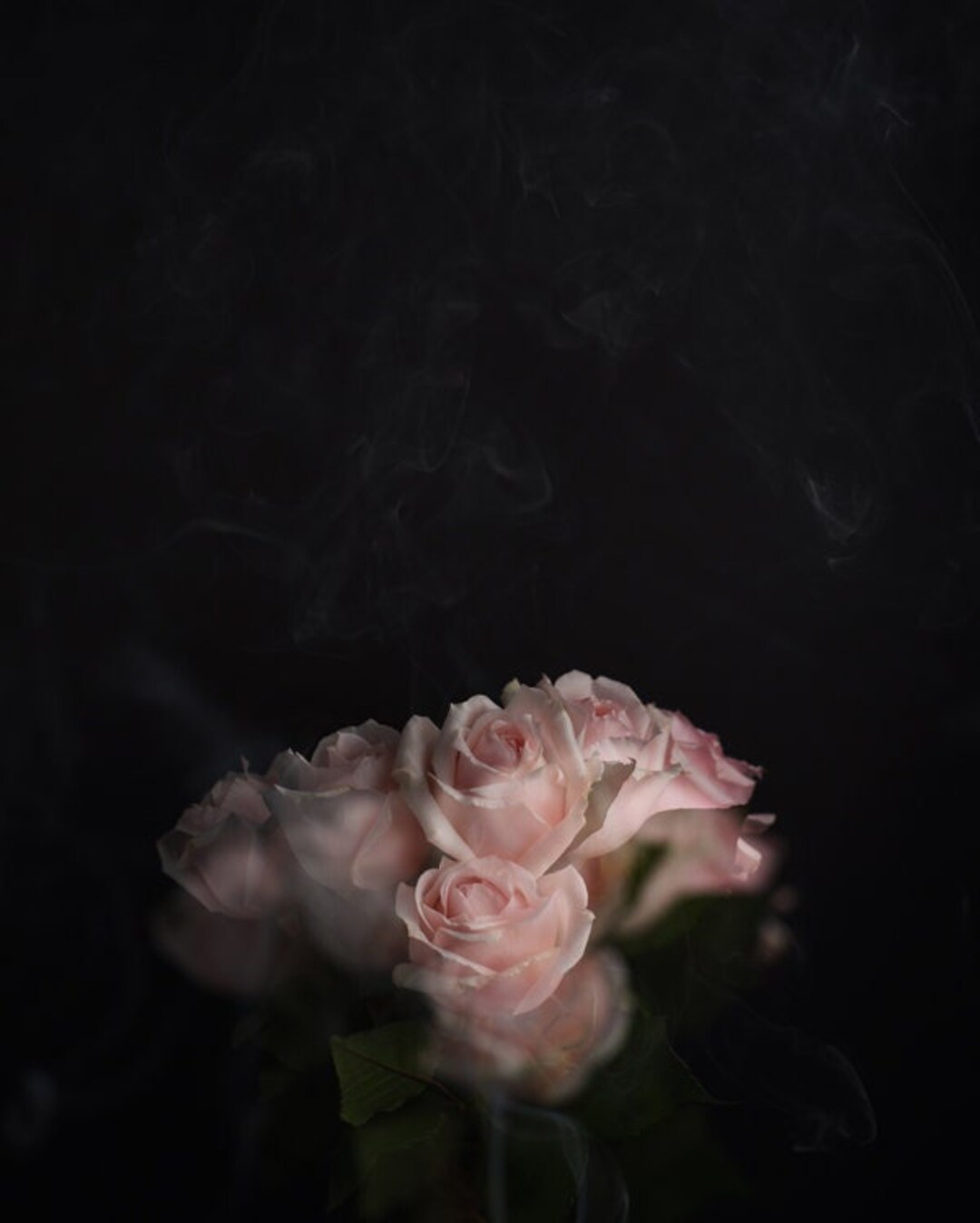 Abstract Floral Art, Pink Rose Print, Double Exposure Print, Unique ...