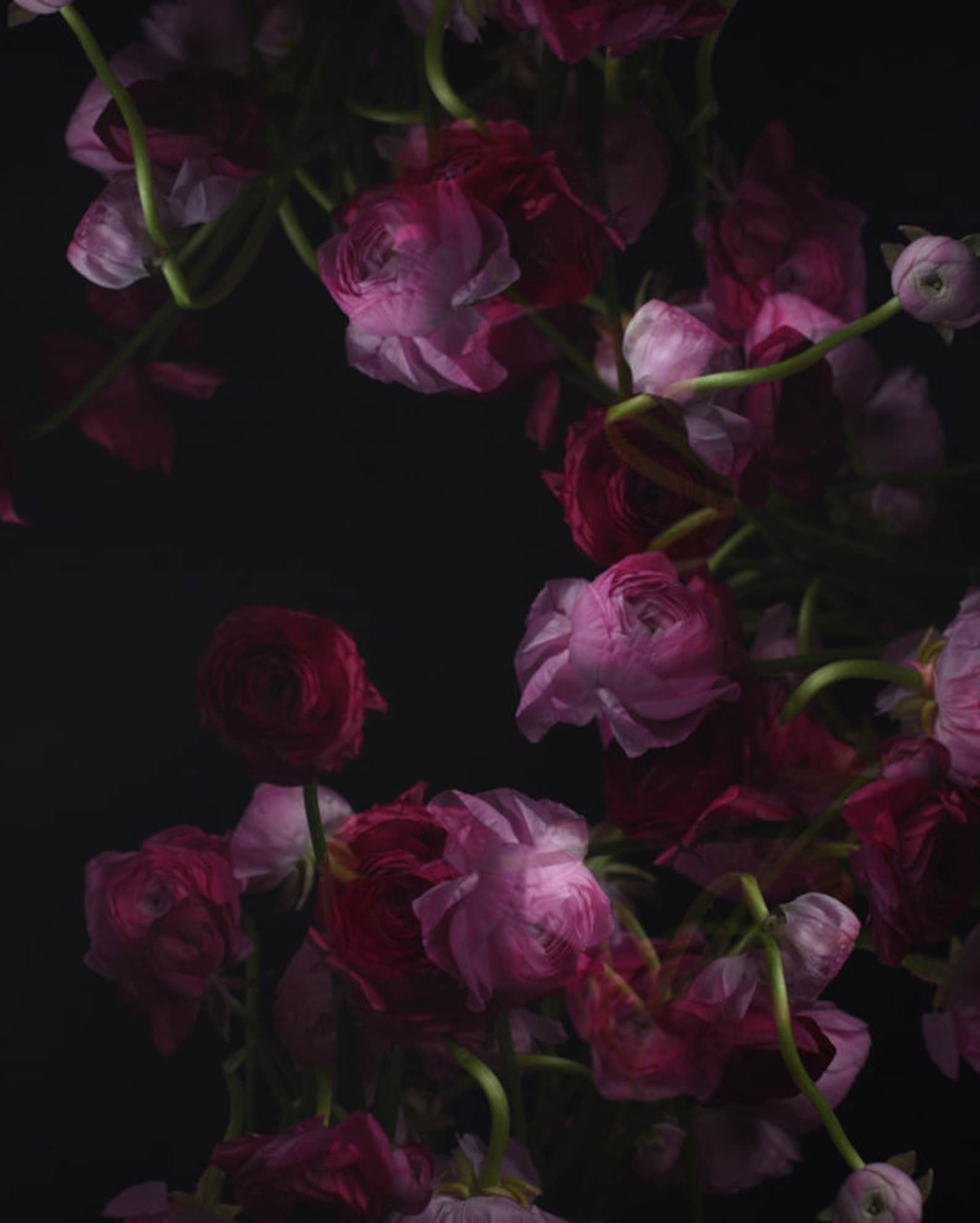 Abstract Flower Art, Dark Floral Print, Art Print Floral, Flower ...