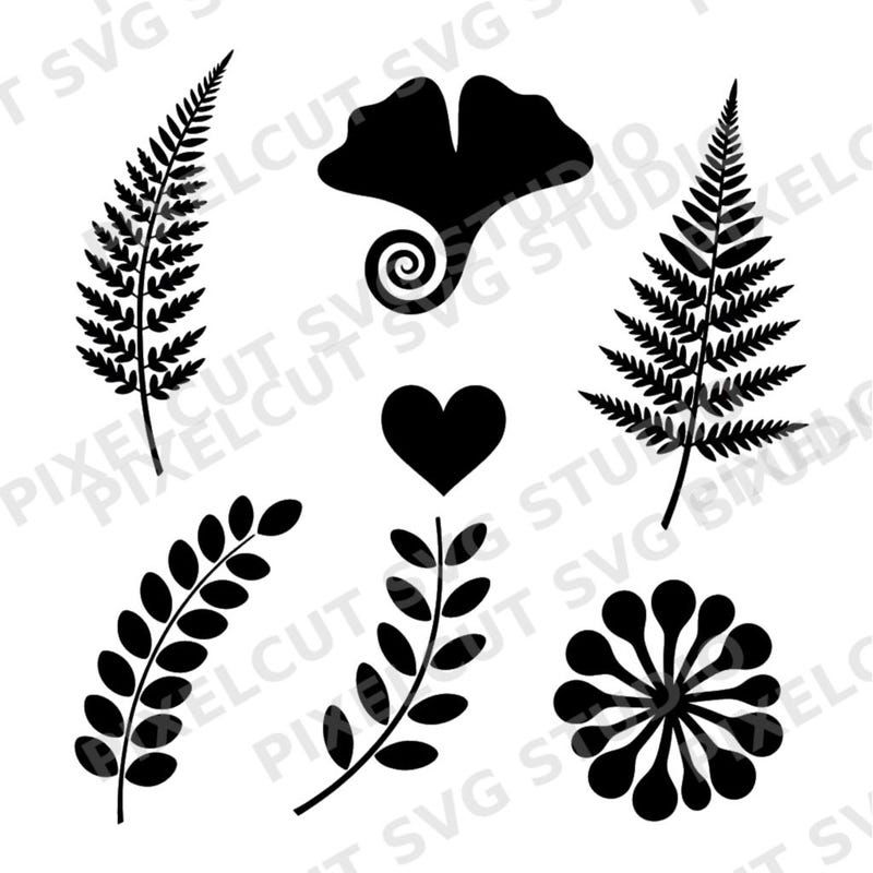 Fern Svg - Etsy