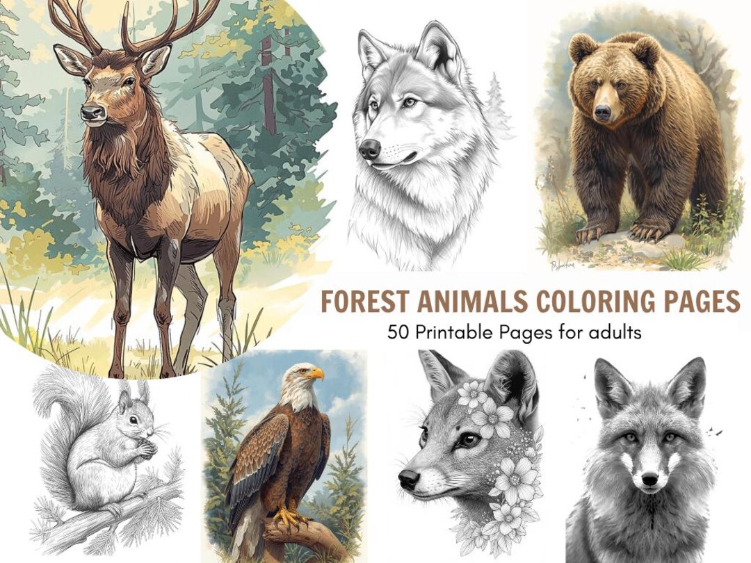 Realistic Forest Animals Coloring Book: 50 Wildlife Pages (PDF) - Etsy