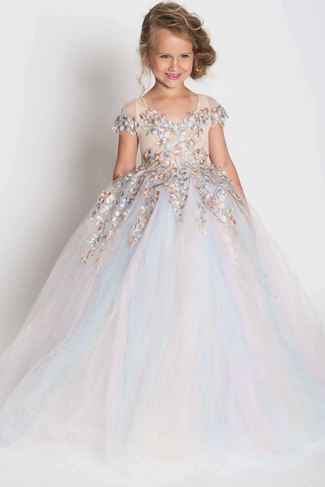 Flower girl dress blue and pink embroidery flower girl tutu | Etsy