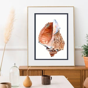 Seashell Art Print, Conch Shell Watercolor Painting, Beach Painting ...