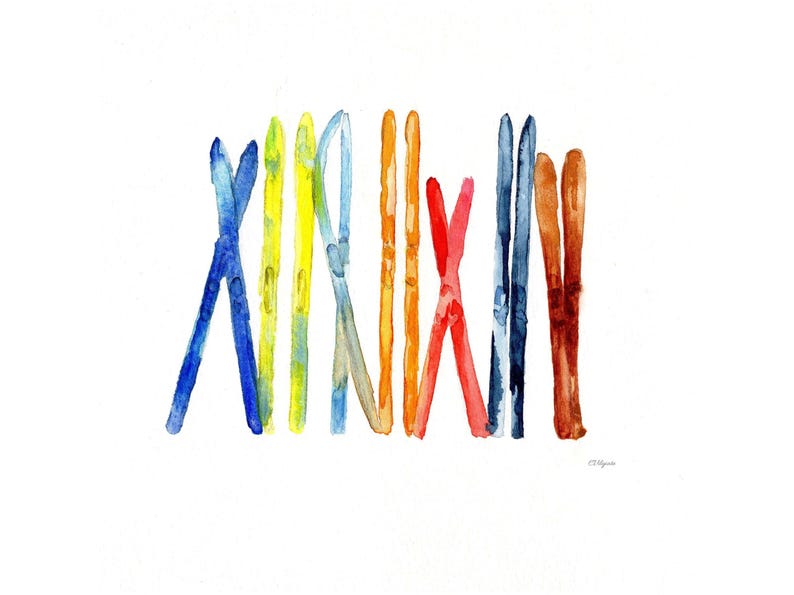 Ski Watercolor Art Print: Colorful Skis Winter Mountain Wall Decor - Etsy