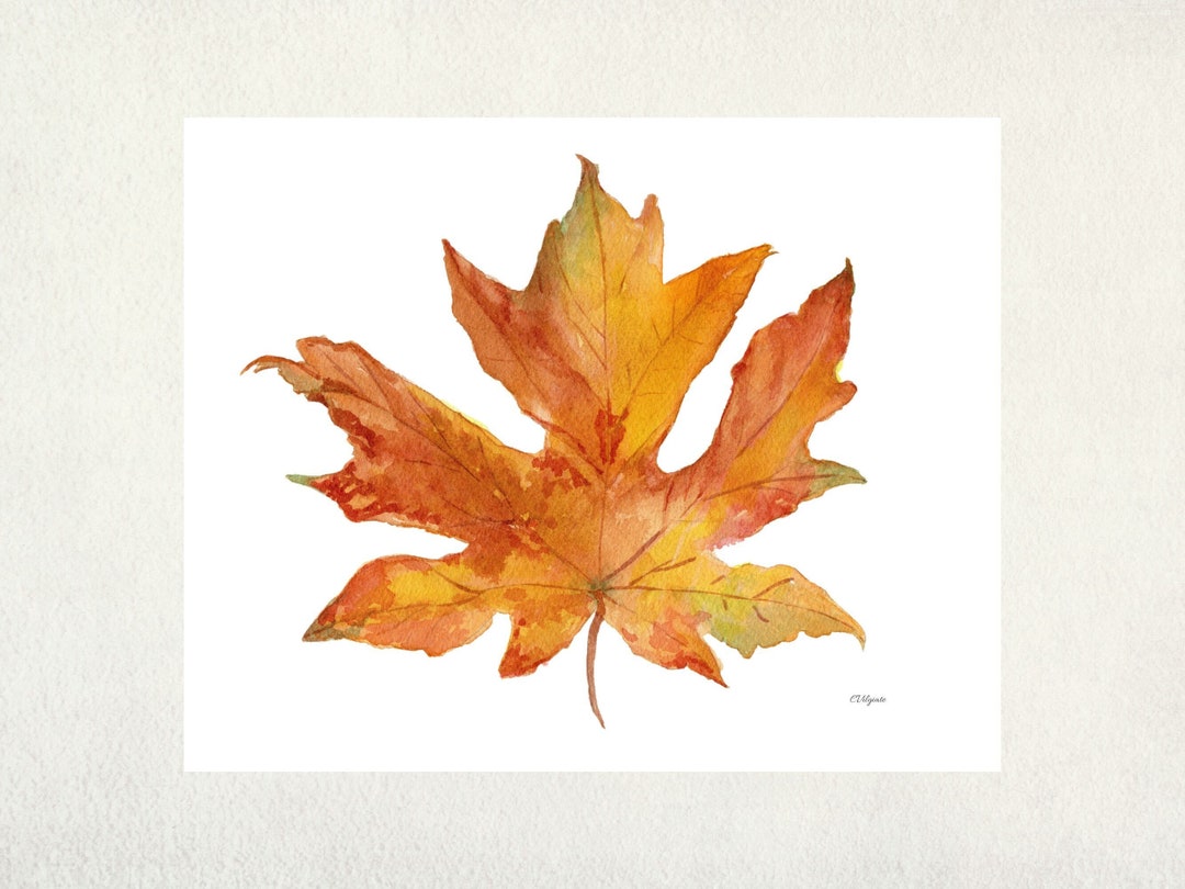 Watercolor Fall Maple Leaf Art Print - Etsy