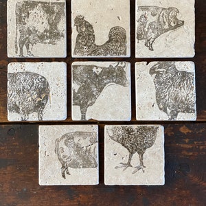 Farm Animal Series Travertine Tile Natural Absorbant Stone Ware ...