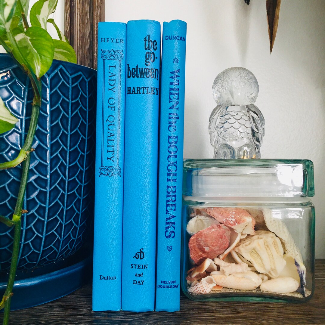 Vintage Turquoise Blue Hardcover Book Set: Decorative Novel Collection ...