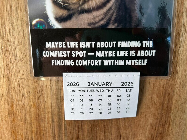 Handmade Calendar 2026 Fun Pet Cat Lover Hanging Gift - Comfort Inner ...