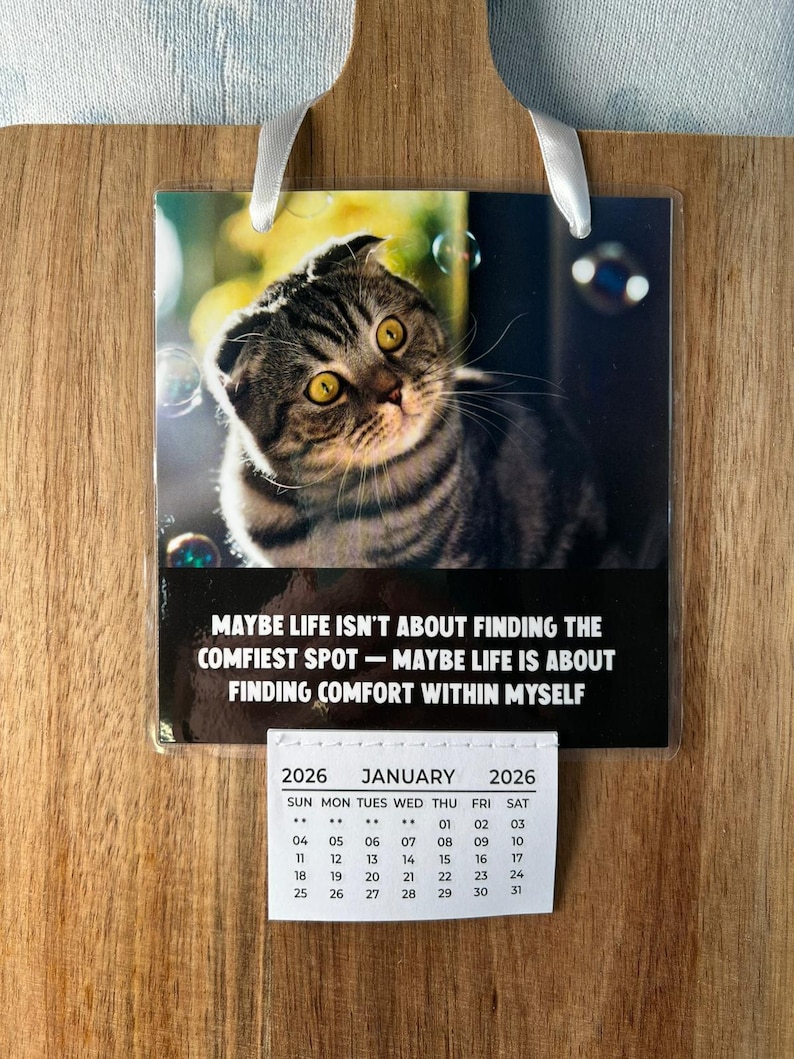 Handmade Calendar 2026 Fun Pet Cat Lover Hanging Gift - Comfort Inner ...