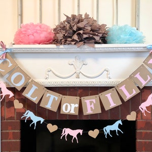 Colt or Filly Gender Reveal Decorations / Boy or Girl? Horse Themed ...