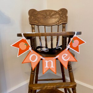 Pumpkin First Birthday Photo Banner - Little Pumpkin 1st Birthday Decor ...