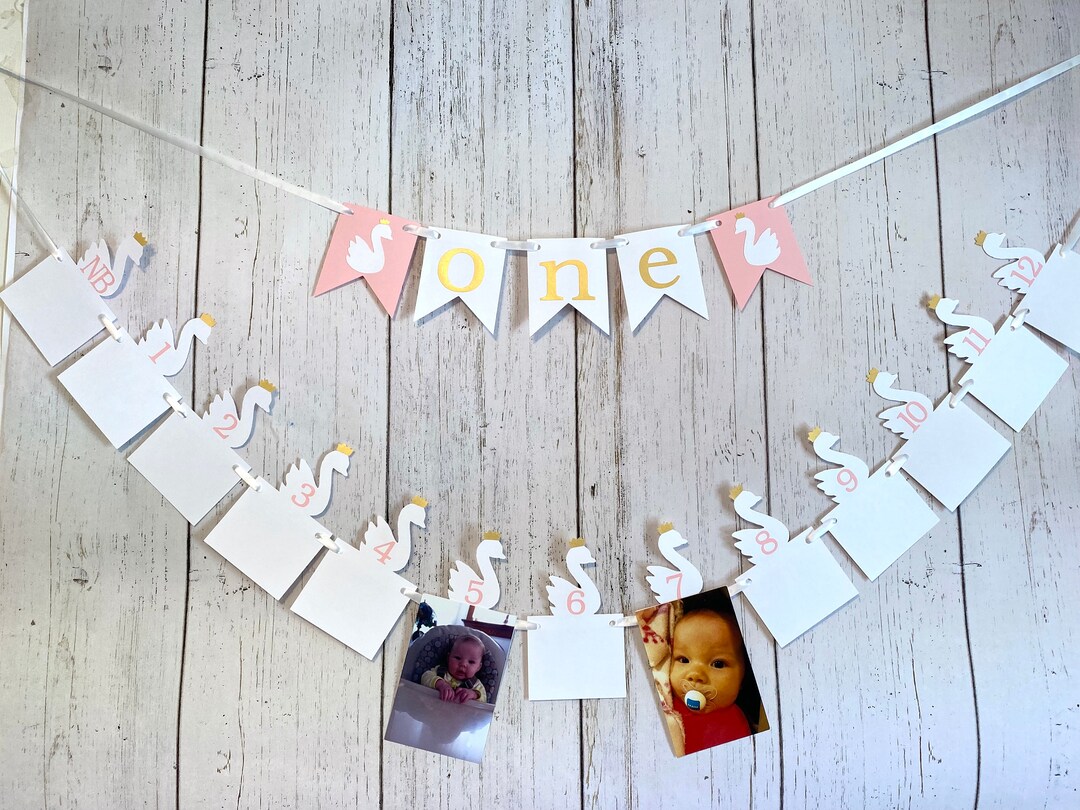 Princess Swan First Birthday Decorations, Swan 12 Month Photo Banner ...