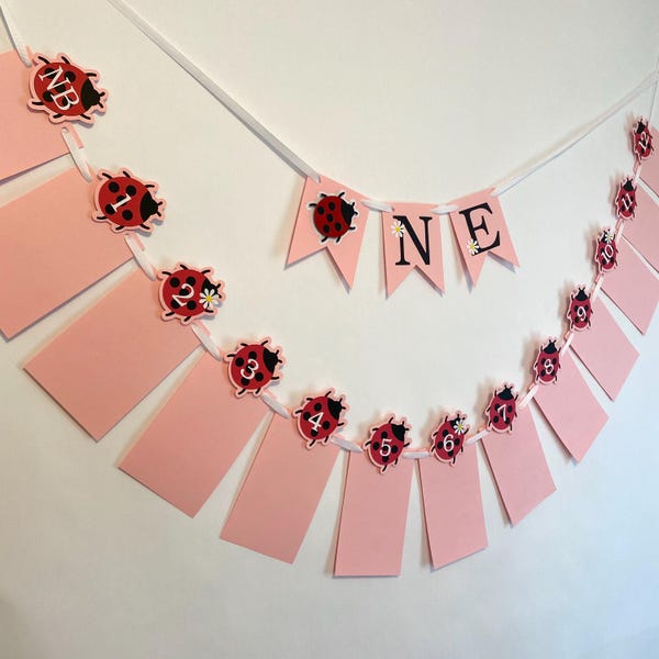Ladybug Banner - Etsy