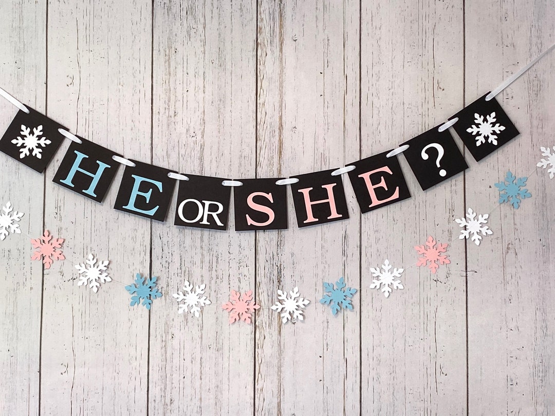 He or She Banner A Little Snowflake on the Way Baby Gender Reveal Boy ...