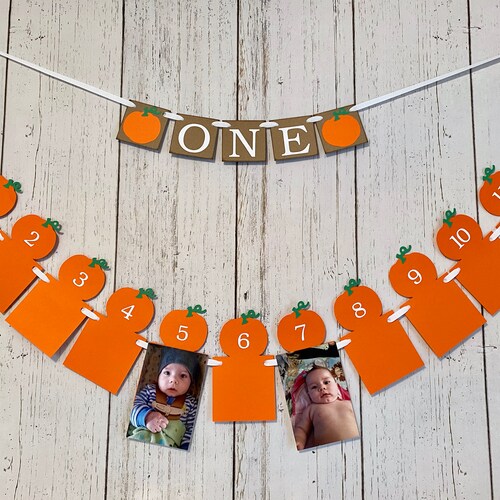 Pumpkin First Birthday Decorations High Chair Tutu ONE | Etsy