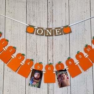 Pumpkin Photo Banner- ONE High Chair Banner- Little Pumpkin First ...