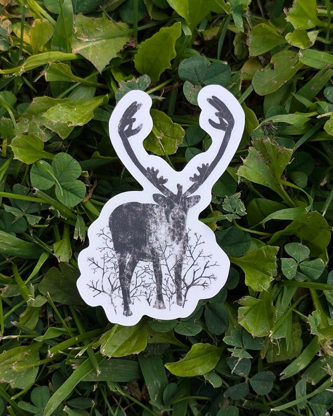 Woodland Caribou Sticker - Clear Vinyl Decal, Animal Sticker ...