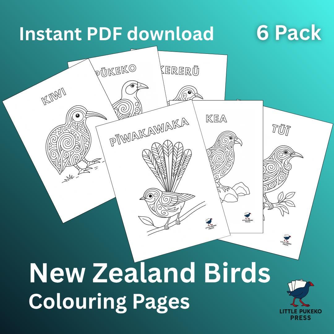 NZ Native Bird Coloring Pages: Kiwi, Kea, Tui, More (PDF Printable) - Etsy