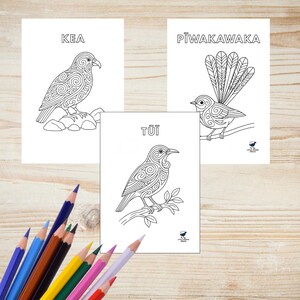 NZ Native Bird Coloring Pages: Pīwakawaka, Kea, Tūī (A4 PDF) - Etsy