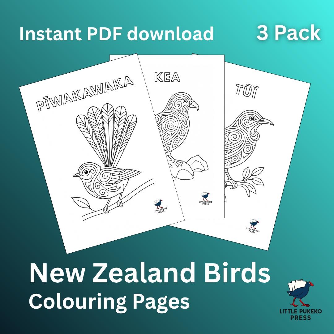 NZ Native Bird Coloring Pages: Pīwakawaka, Kea, Tūī (A4 PDF) - Etsy
