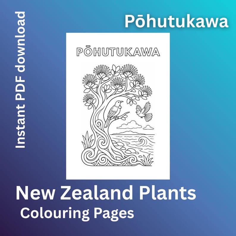 Pōhutukawa Tree Colouring Page – Printable NZ Native Tree PDF - Etsy