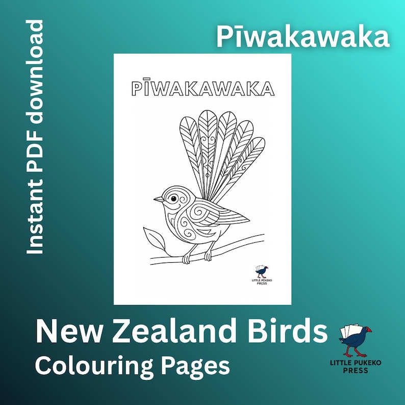 Pīwakawaka Colouring Page: New Zealand Bird Art (printable PDF) - Etsy