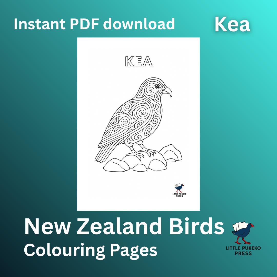 Kea Colouring Page: New Zealand Bird Art (printable PDF) - Etsy