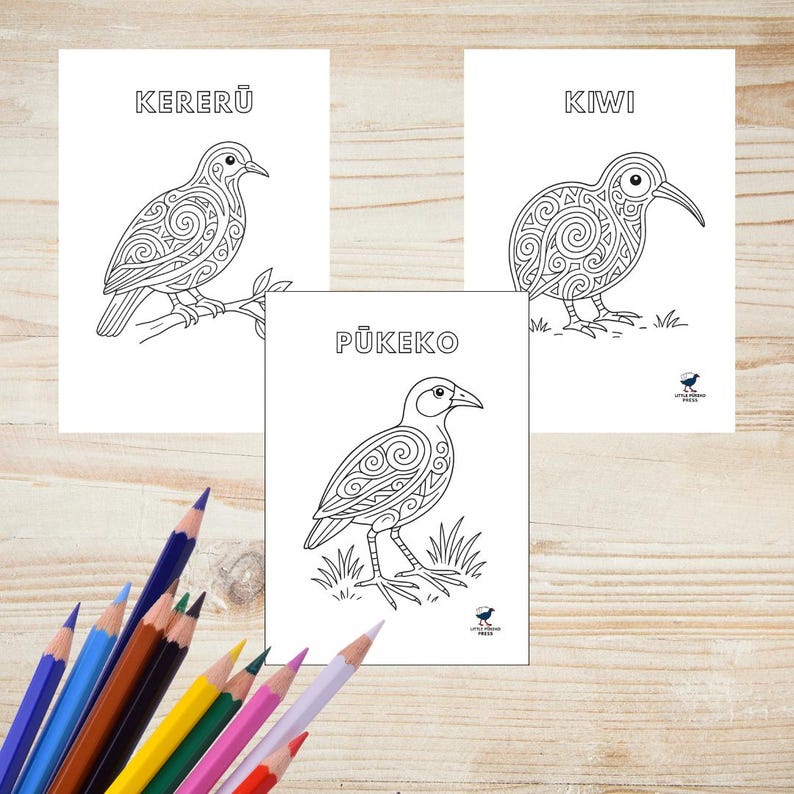 New Zealand Native Bird Colouring Pages: Kiwi, Pūkeko, Kererū (PDF) - Etsy