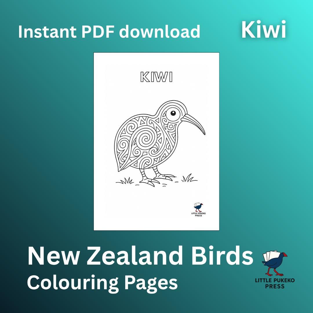 Kiwi Colouring Page: New Zealand Bird Art (printable PDF) - Etsy