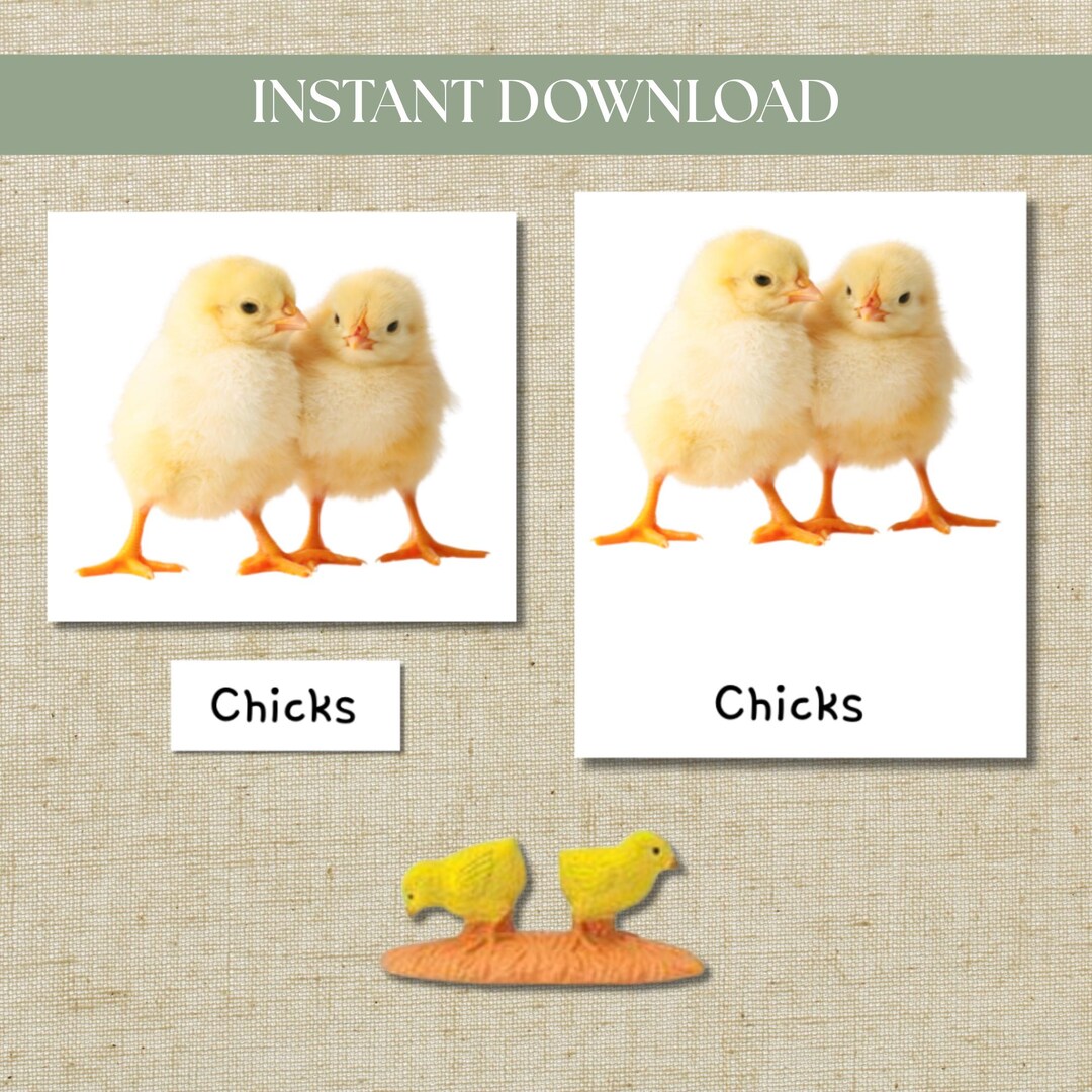Farm Babies Safari Ltd TOOB Montessori Three-part Cards – Digital ...