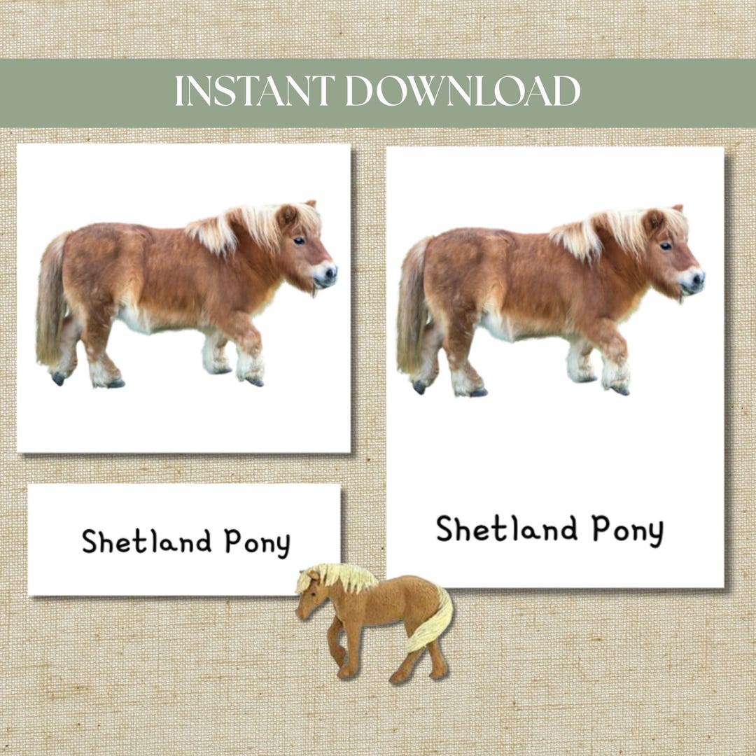 Montessori Three-part Cards Ponies Safari Ltd TOOB – Digital Download ...