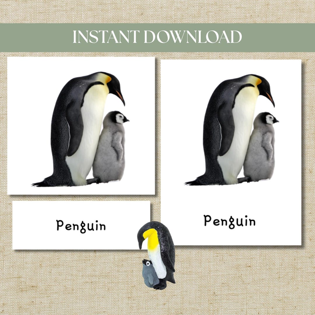 Ocean Safari Ltd TOOB Montessori Three-part Cards – Digital Download - Etsy