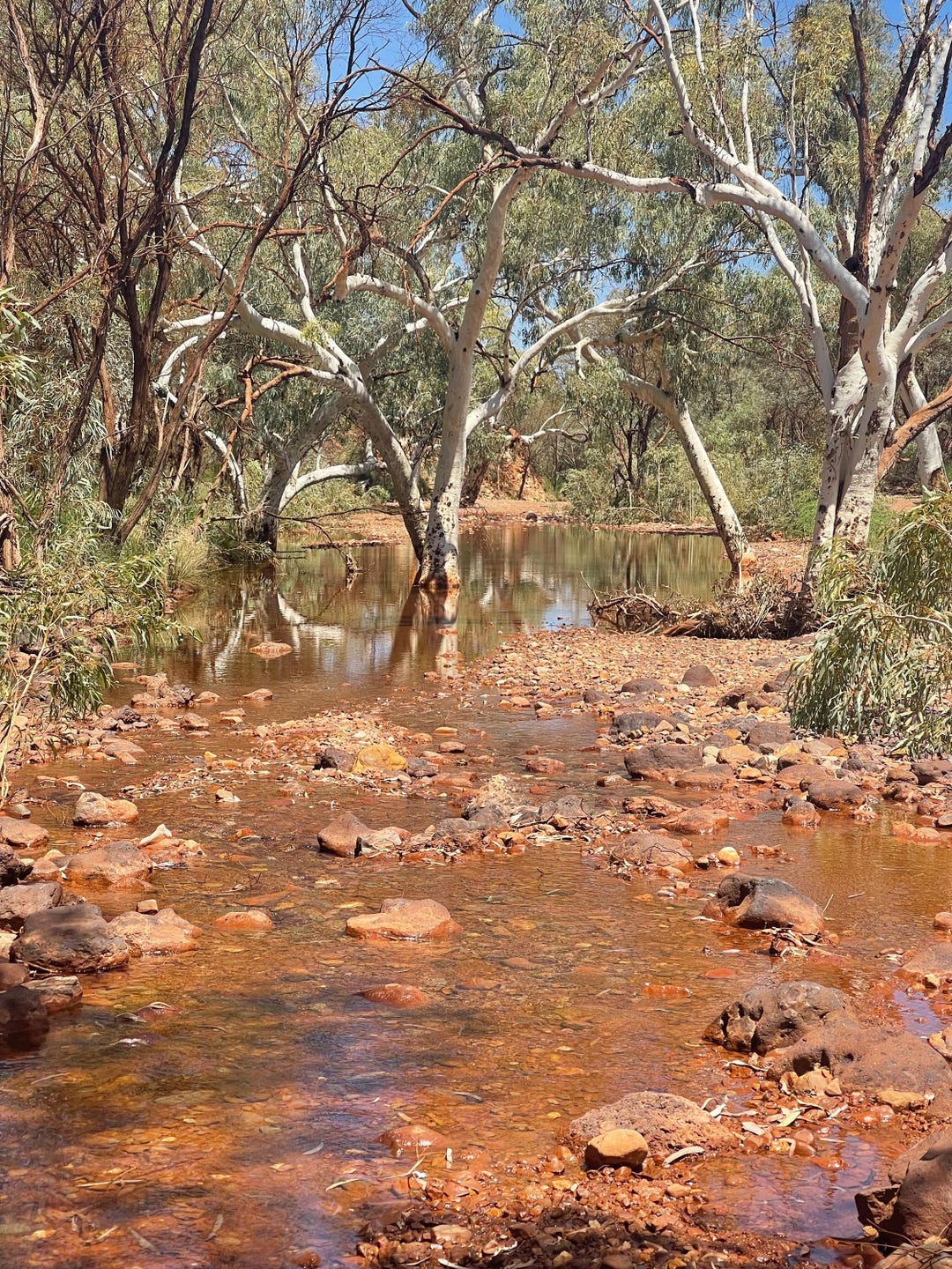 Pilbara Scenery Water Hole Large Printable Wall Art - Etsy
