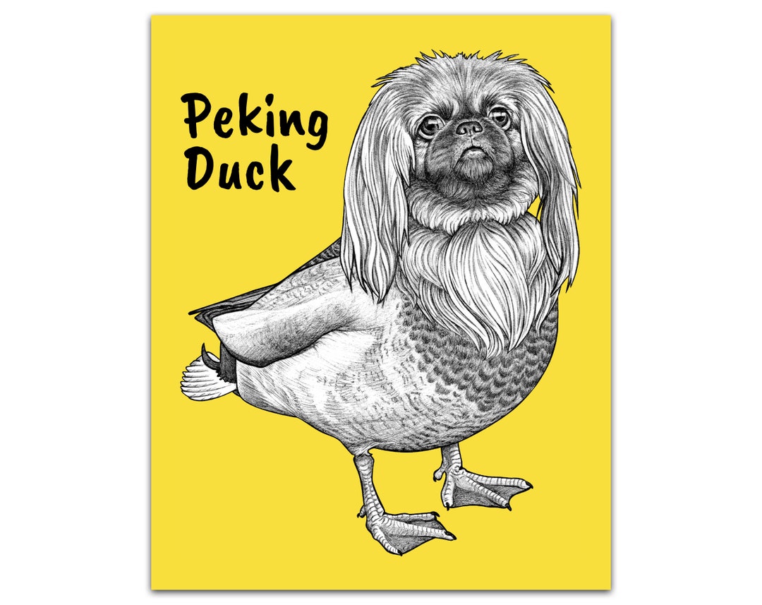 Peking Duck Art Print Pekingese Duck Hybrid Animal 8x10 Art Print ...
