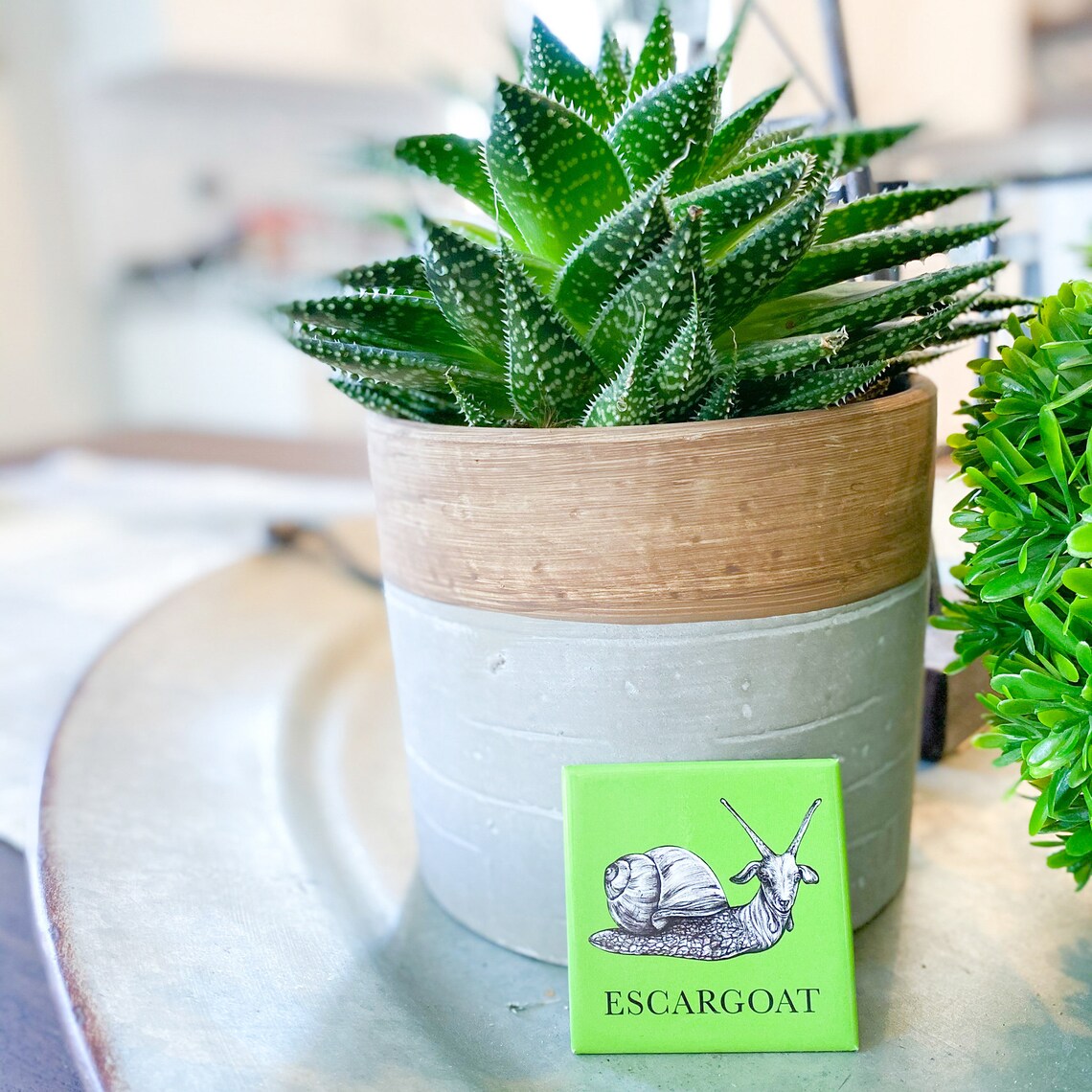 Escargoat Magnet | Goat + Snail Hybrid Animal Art - Etsy