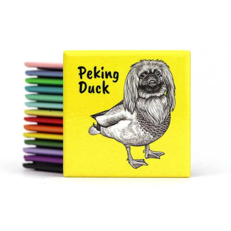 Peking Duck Fridge Magnet | Pekingese + Duck Hybrid Animal | 2" Square ...