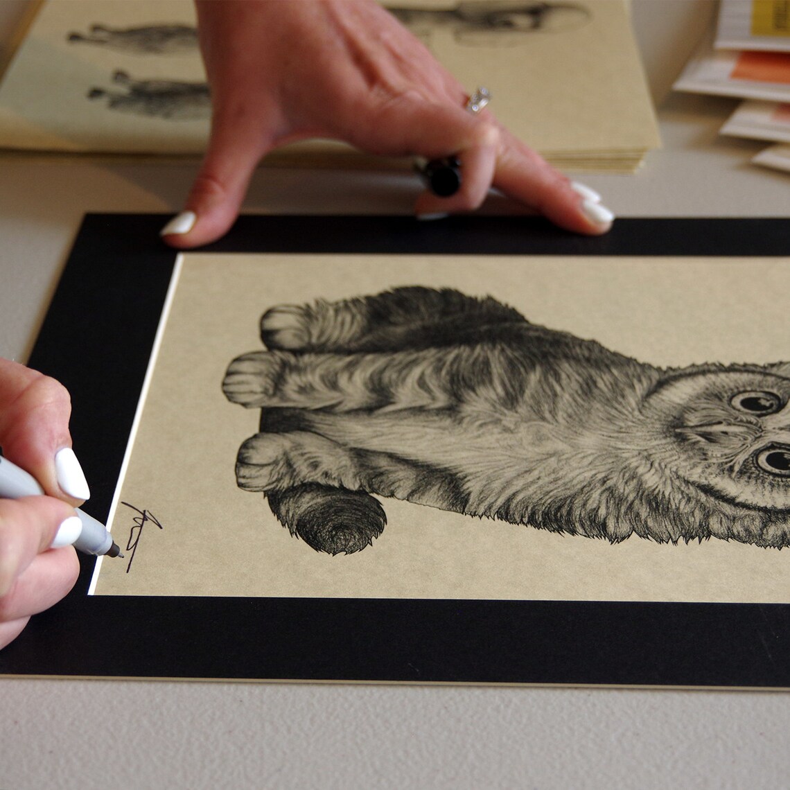 Sabertooth Squirrel Parchment Print | Sabertooth Tiger + Squirrel ...