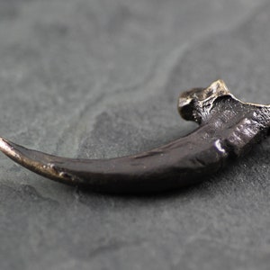 Harpy Eagle Talon - Bronze Eagle Talon Pendant - Raptor Talon Pendant ...
