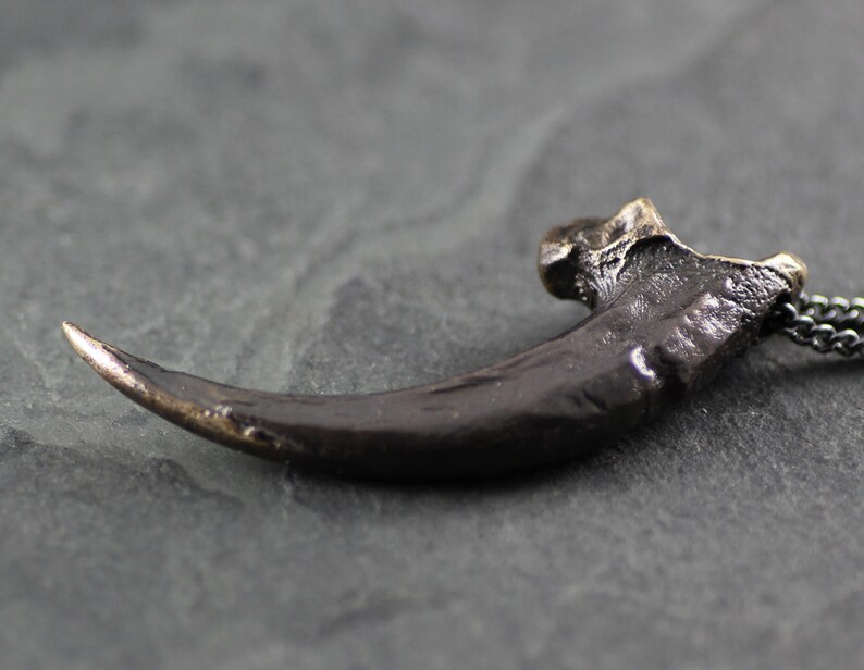 Harpy Eagle Talon Bronze Eagle Talon Pendant Raptor Talon | Etsy