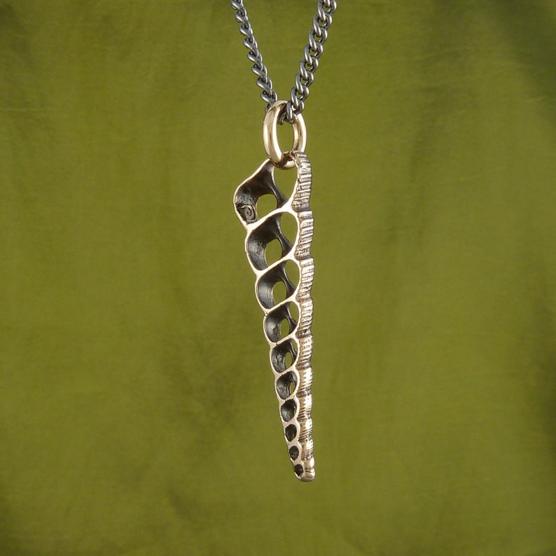 Shell Necklace - Bronze Spiral Shell Pendant - Turritella Shell - Etsy