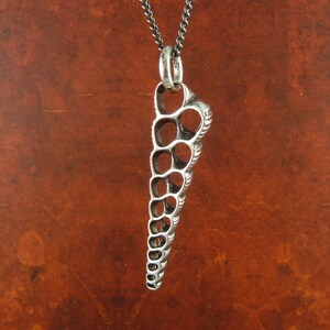 Shell Necklace - Antique Silver Shell Pendant - Turritella Shell ...